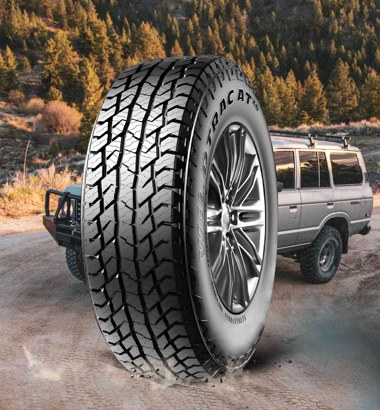 WILDTRAC AT X6 - Ditrip