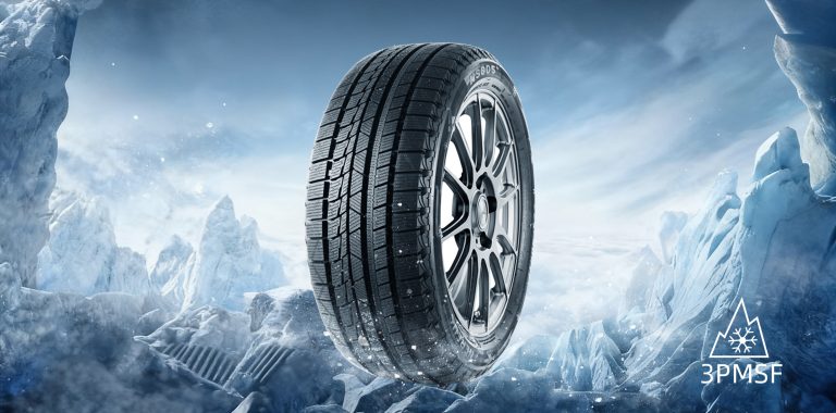 NEREUS NS805+ Winter Tyre - Winter Guardian - Nereus